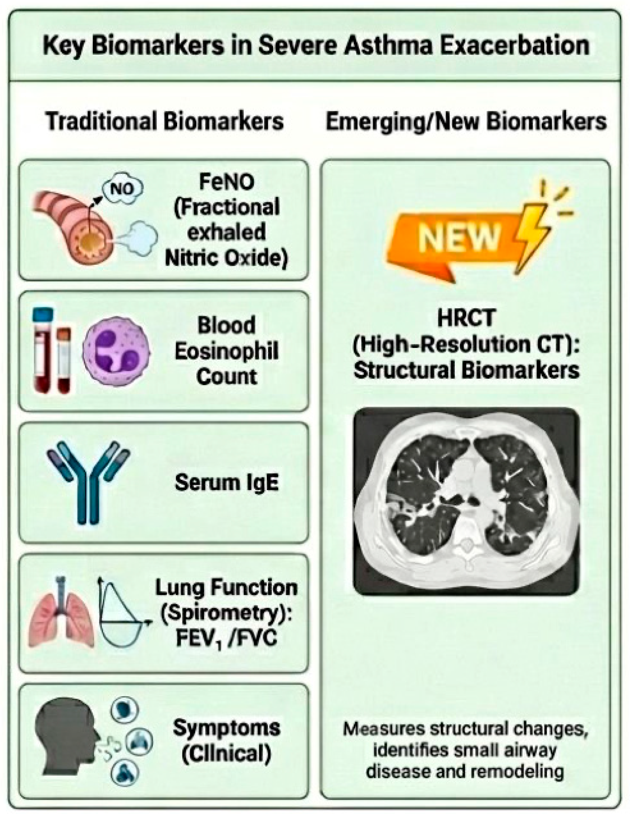 Severe Asthma Exacerbations: From Risk Factors to Precision Management ...