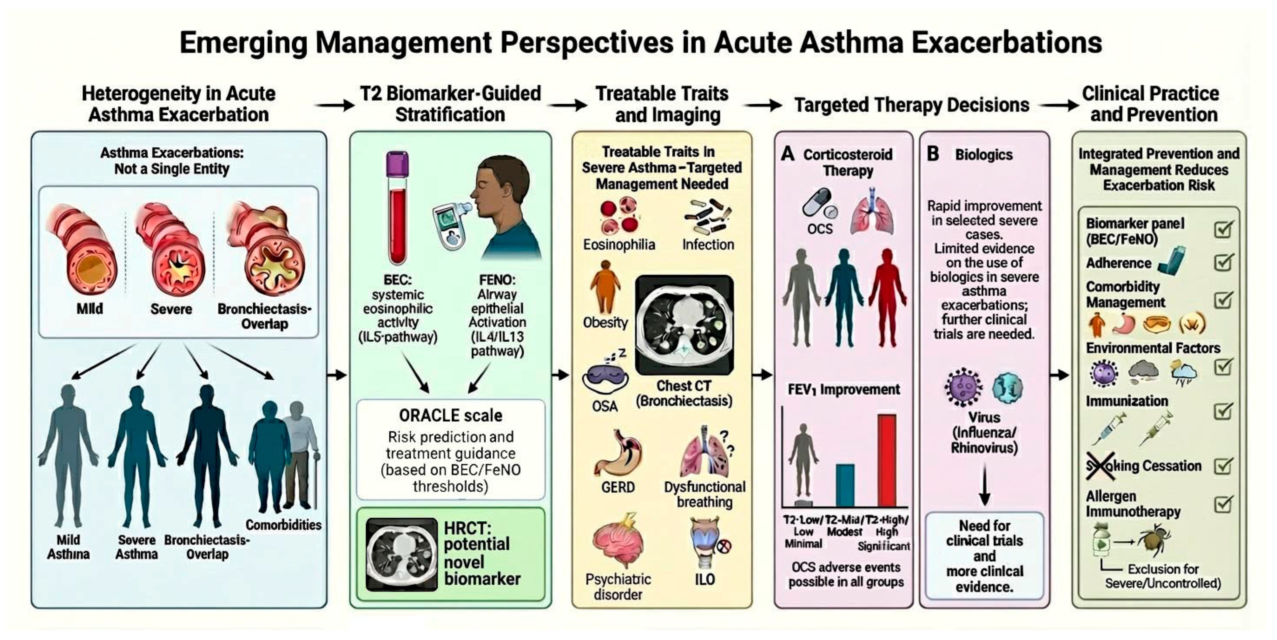 Severe Asthma Exacerbations: From Risk Factors to Precision Management ...