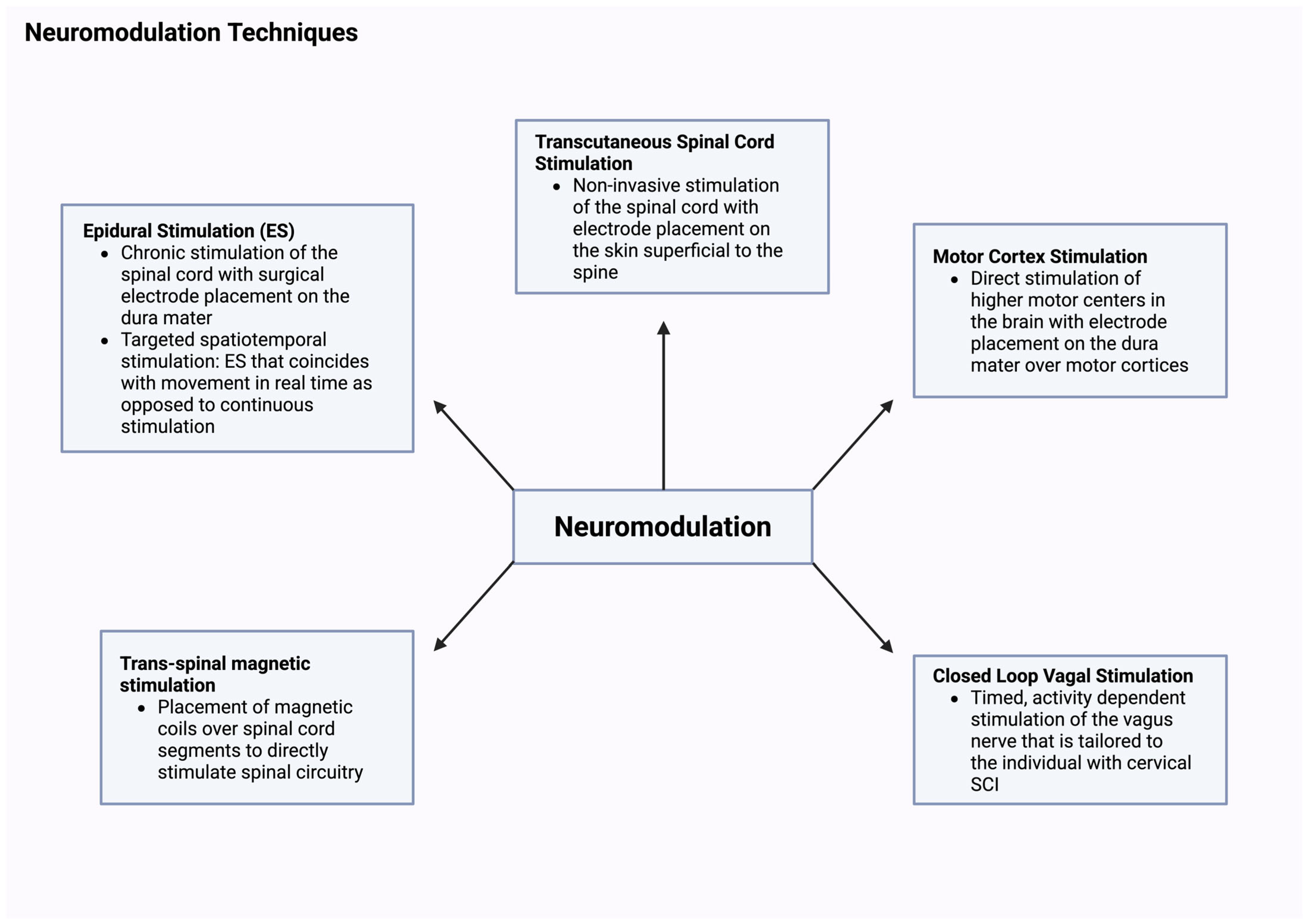 The Interplay Between Neuromodulation and Stem Cell Therapy for Sensory ...