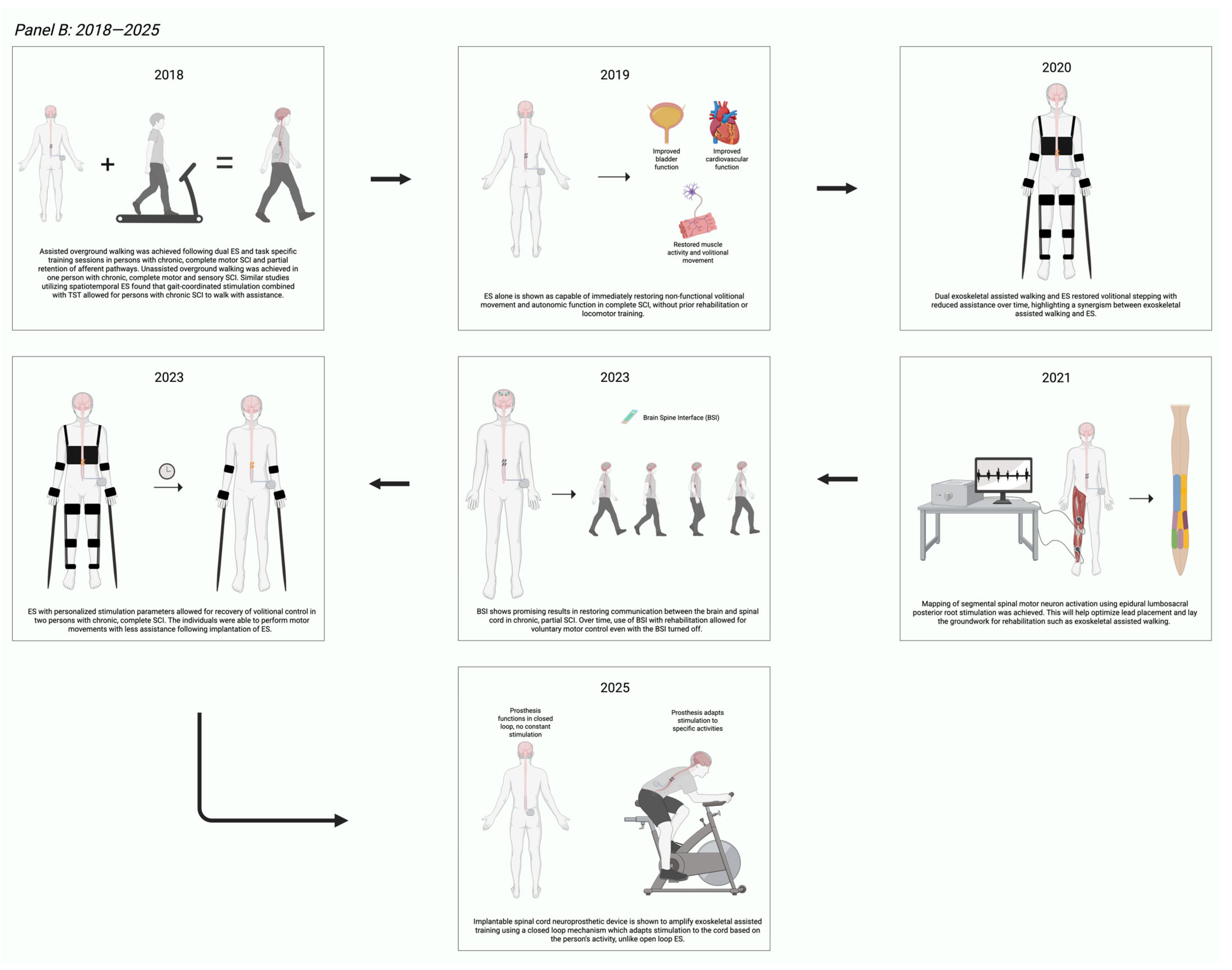 The Interplay Between Neuromodulation and Stem Cell Therapy for Sensory ...