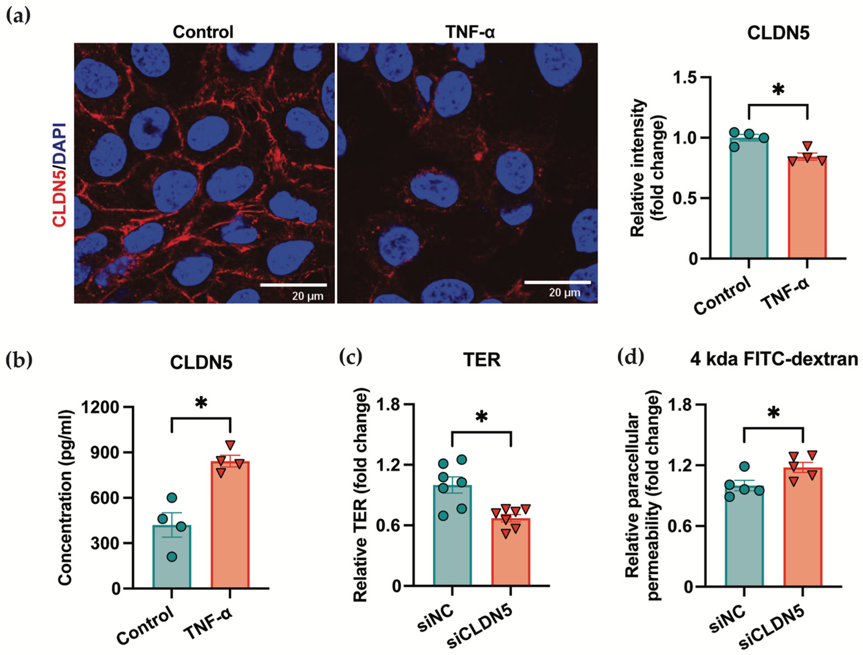 From Endothelial Barrier Dysfunction to Circulating Biomarker: Clinical ...