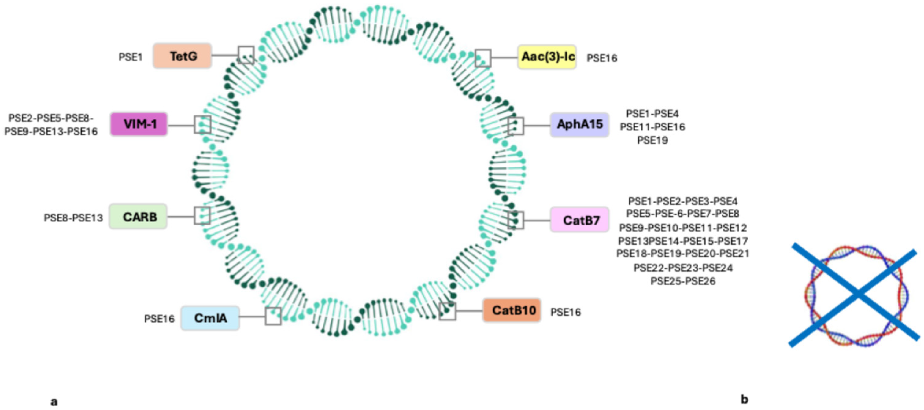 Genomic Insights into Carbapenem-Resistant Pseudomonas aeruginosa (CRPA ...