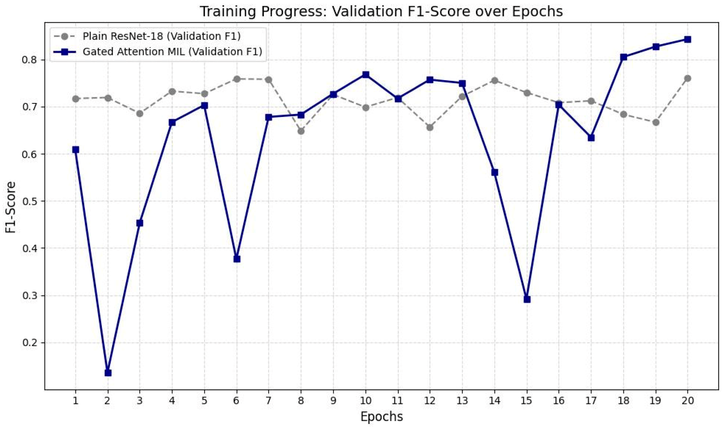 A Gated Attention-Based Multiple Instance Learning and Test-Time ...