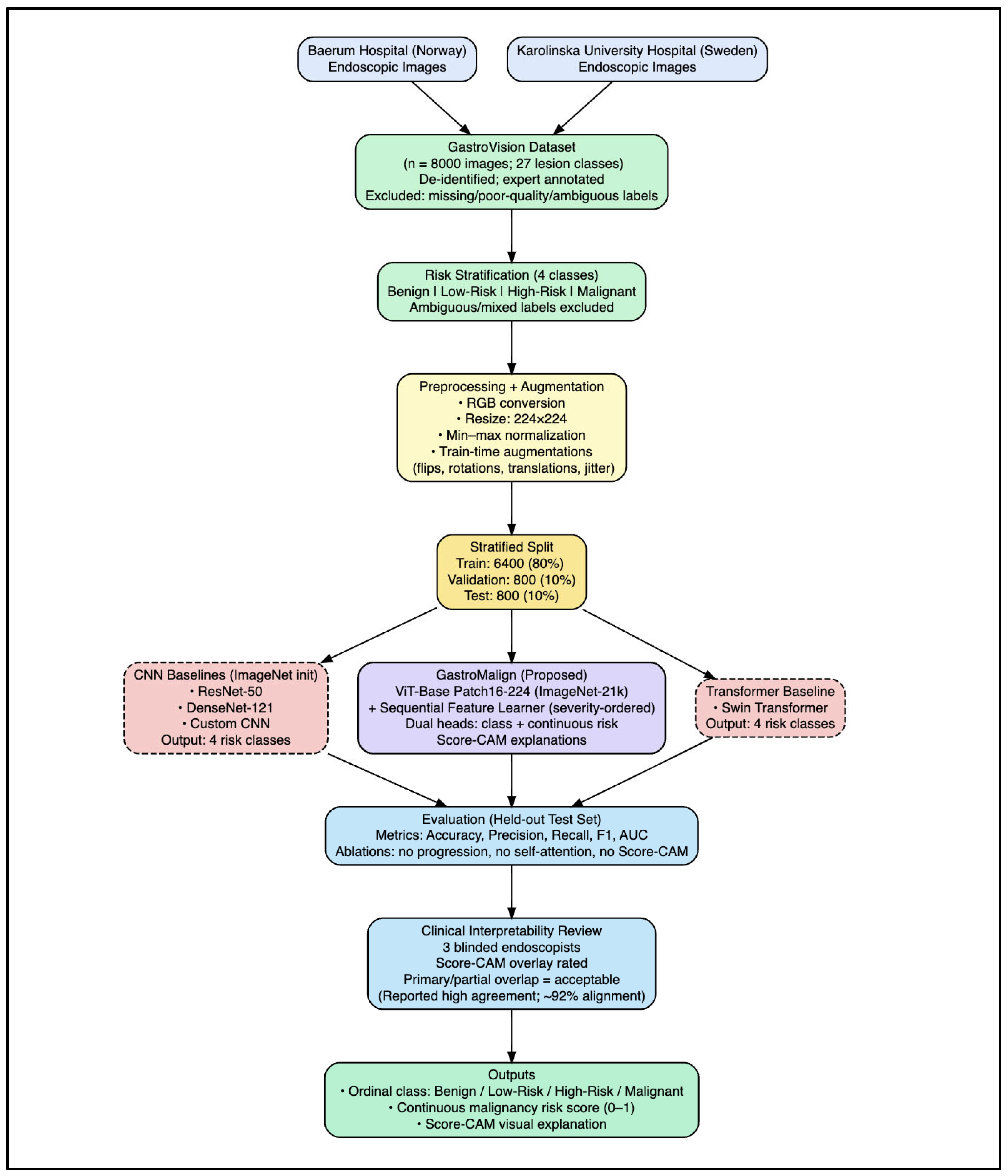 GastroMalign: Vision Transformer-Based Framework for Early Detection ...