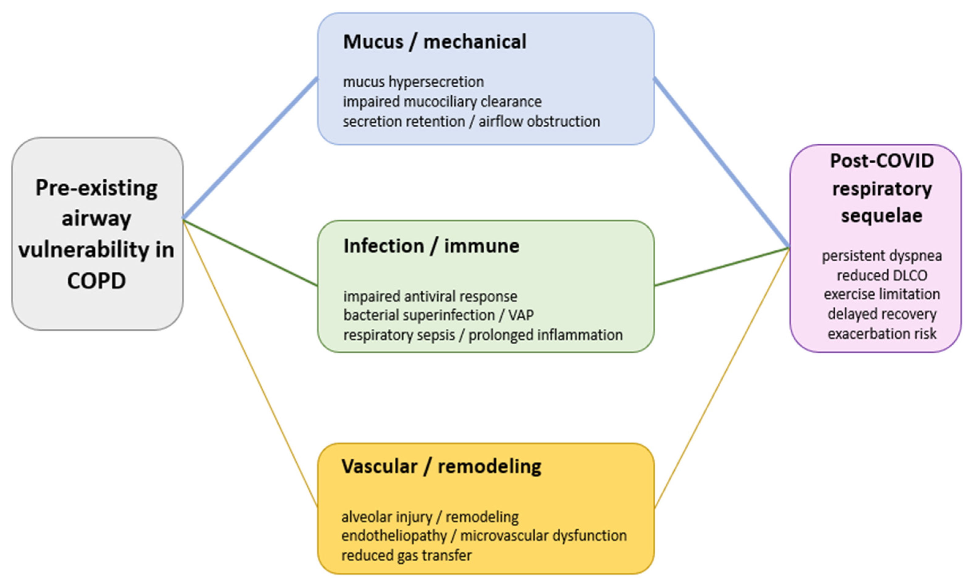 Post-COVID Respiratory Sequelae in COPD: Mucus Plugging, Infectious ...