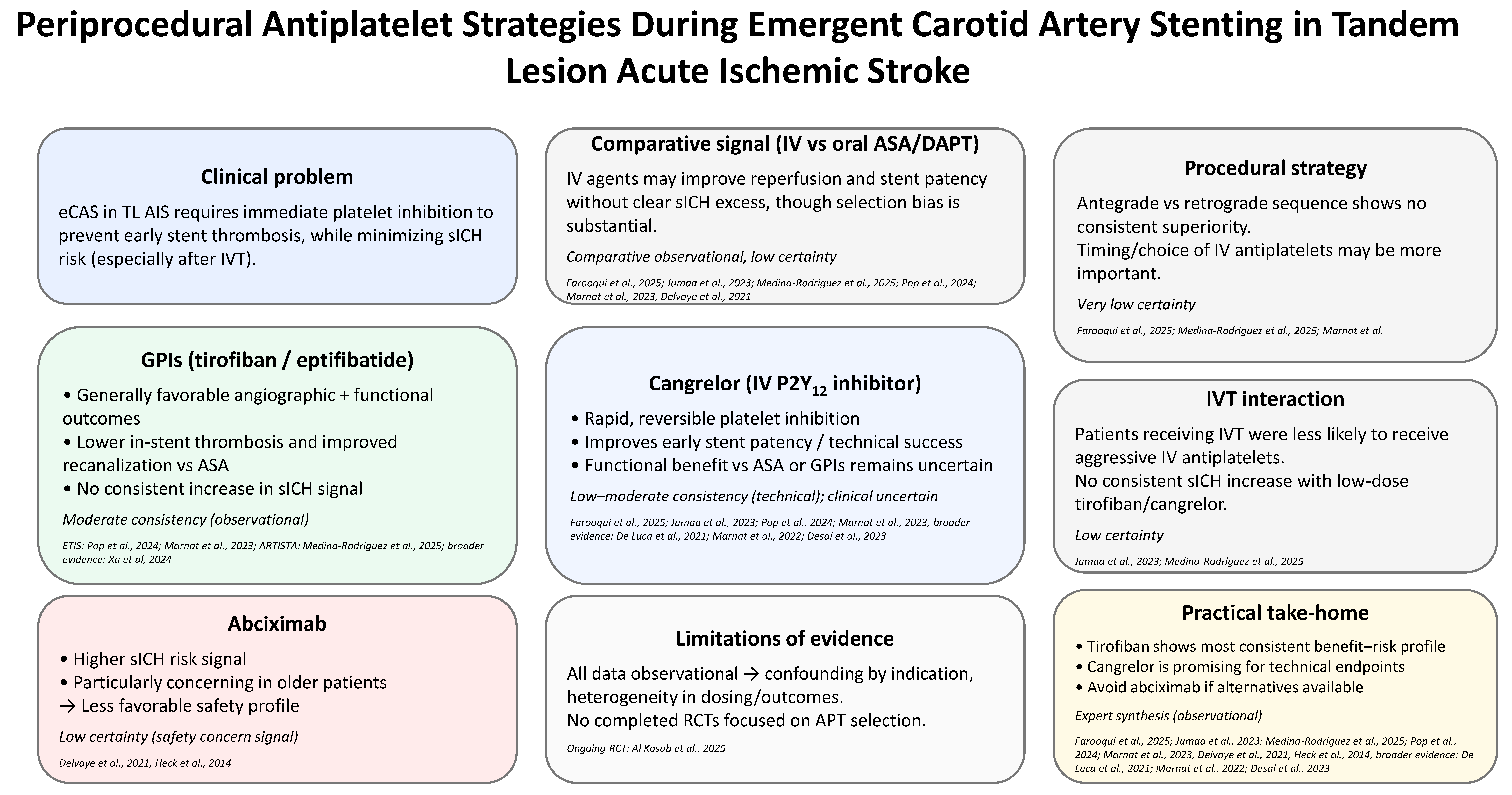 Revisiting Antiplatelet Therapy in Acute Carotid Tandem Lesions