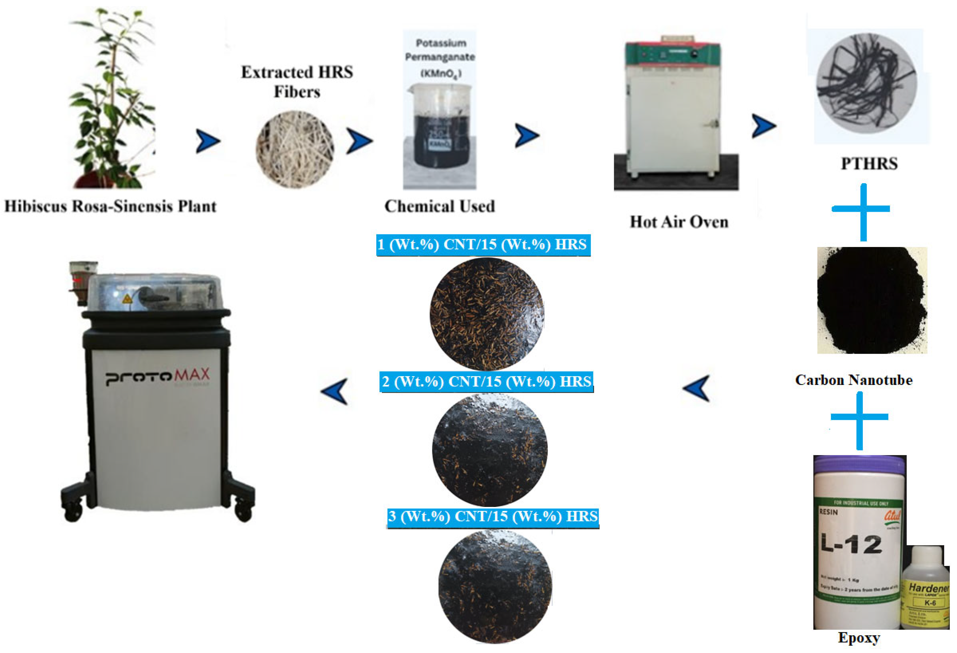 Delamination and Its Morphological Study on Hibiscus Rosa-Sinensis ...