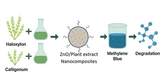 Eco-Friendly Synthesis of ZnO-Based Nanocomposites Using Haloxylon and ...
