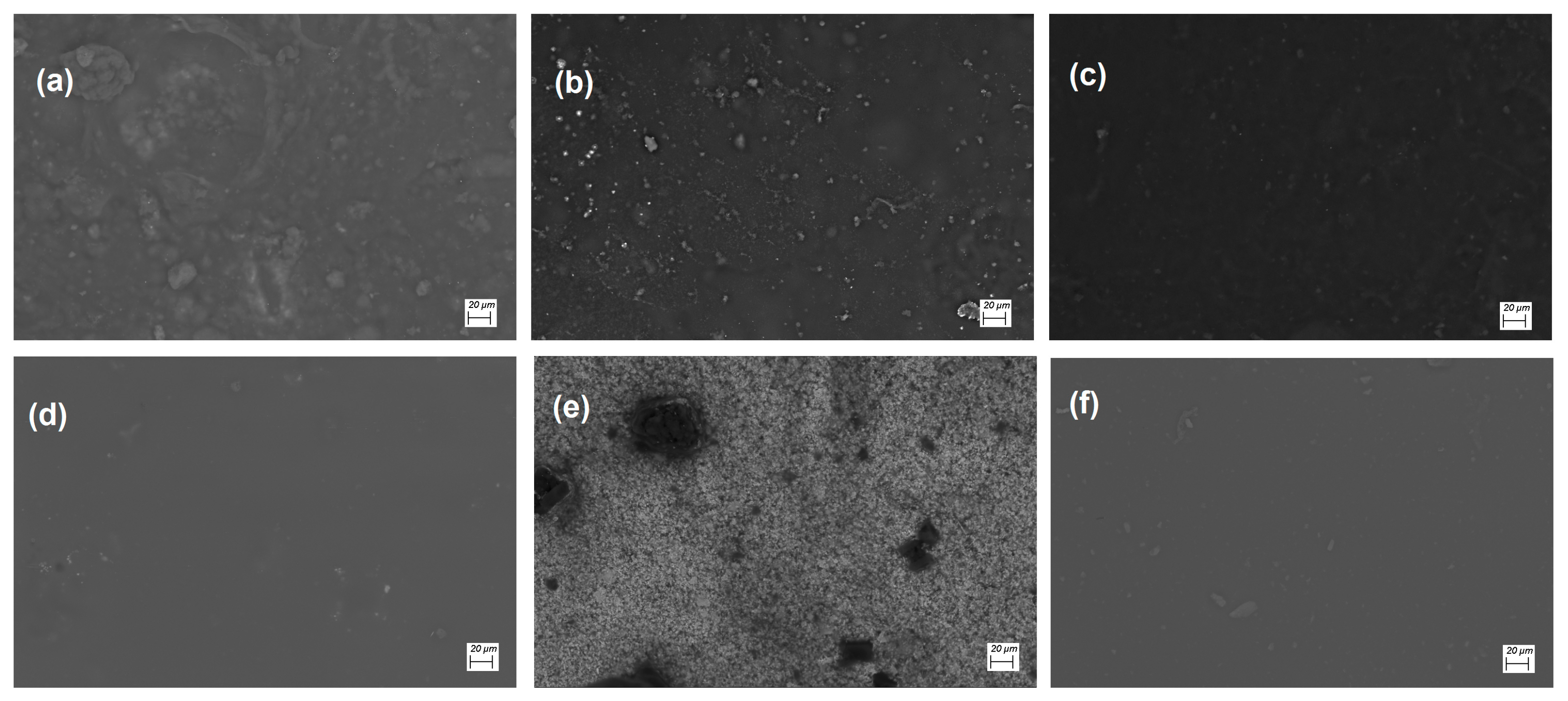Fabrication of Phthalocyanine–Polymer Matrix Composites for Bio-Based ...