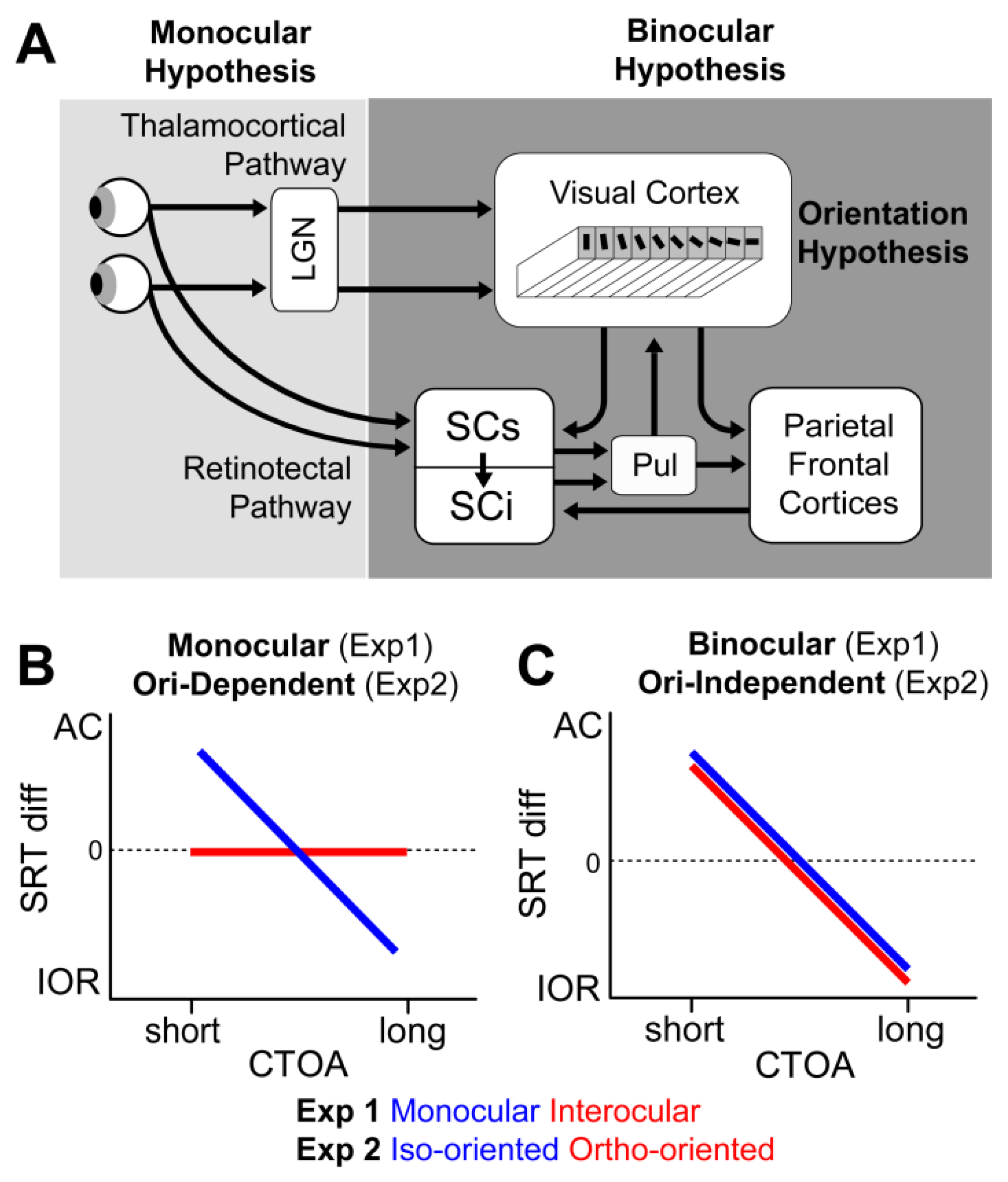 Localizing the Neural Substrate of Reflexive Covert Orienting