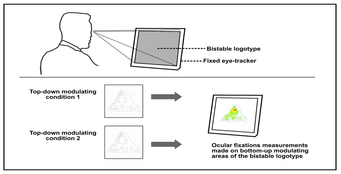 Analysis of Top-Down Perceptual Modulation Considering Eye Fixations ...
