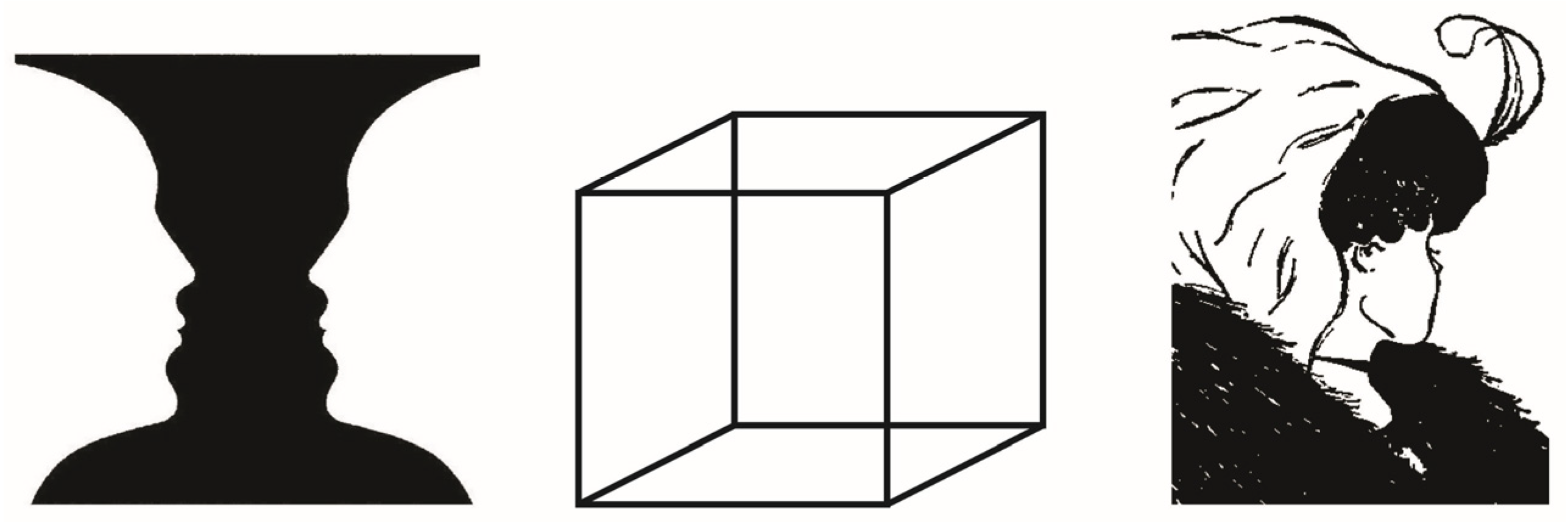 Analysis of Top-Down Perceptual Modulation Considering Eye Fixations ...