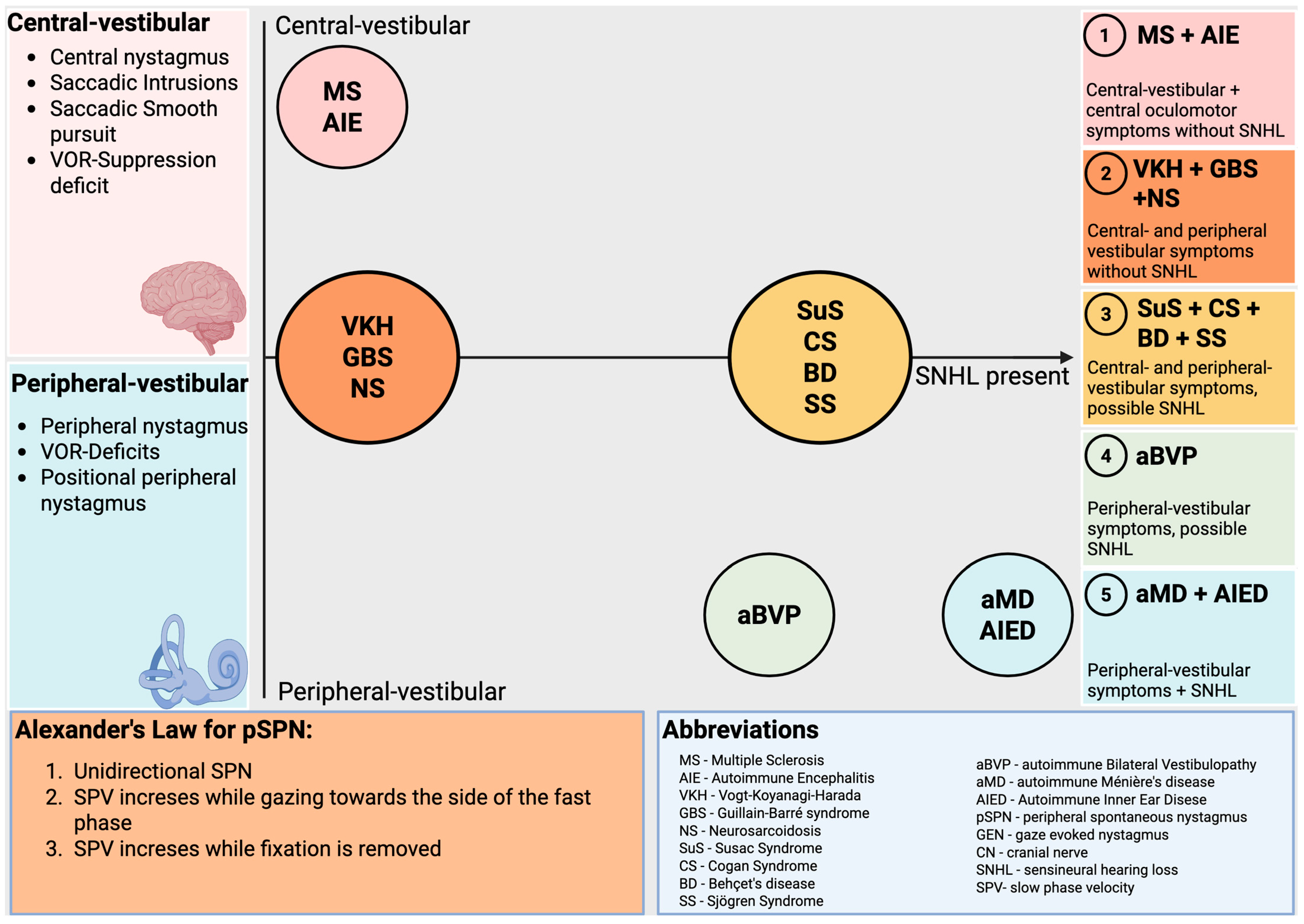 Autoimmune Diseases and the Vestibular and Oculomotor System: Clinical ...
