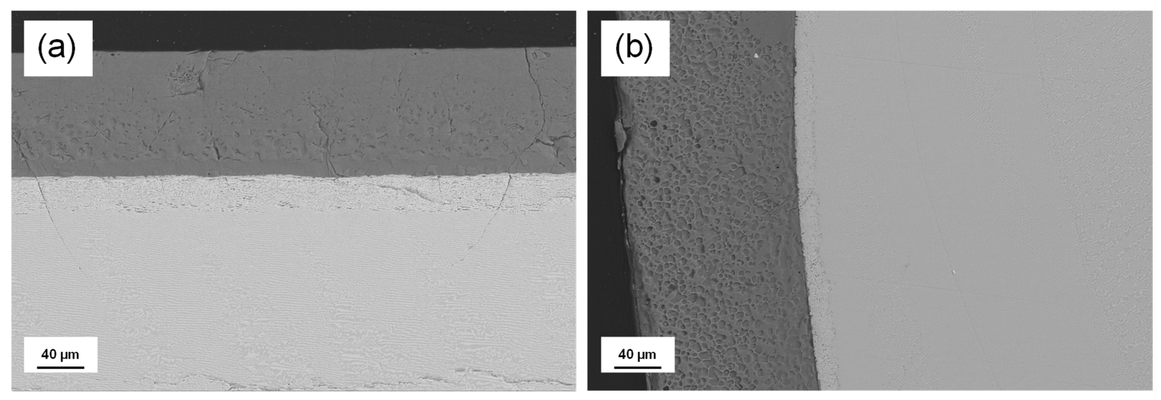 Polarization Dependence on the Optical Emission in Nd-Doped Bioactive W ...