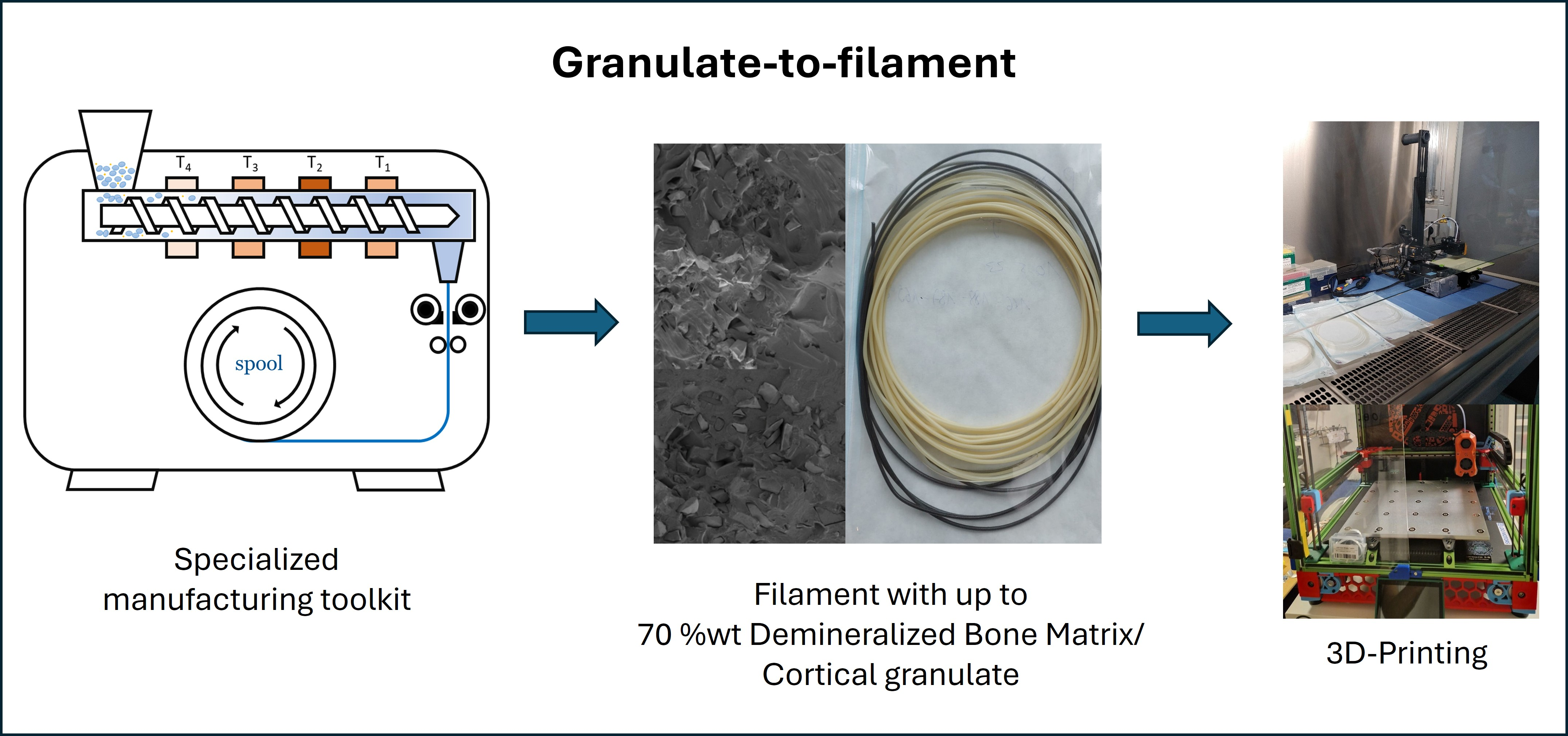 Granulate-to-Filament: An Extrusion-Mixed PLA–Human Bone Material ...