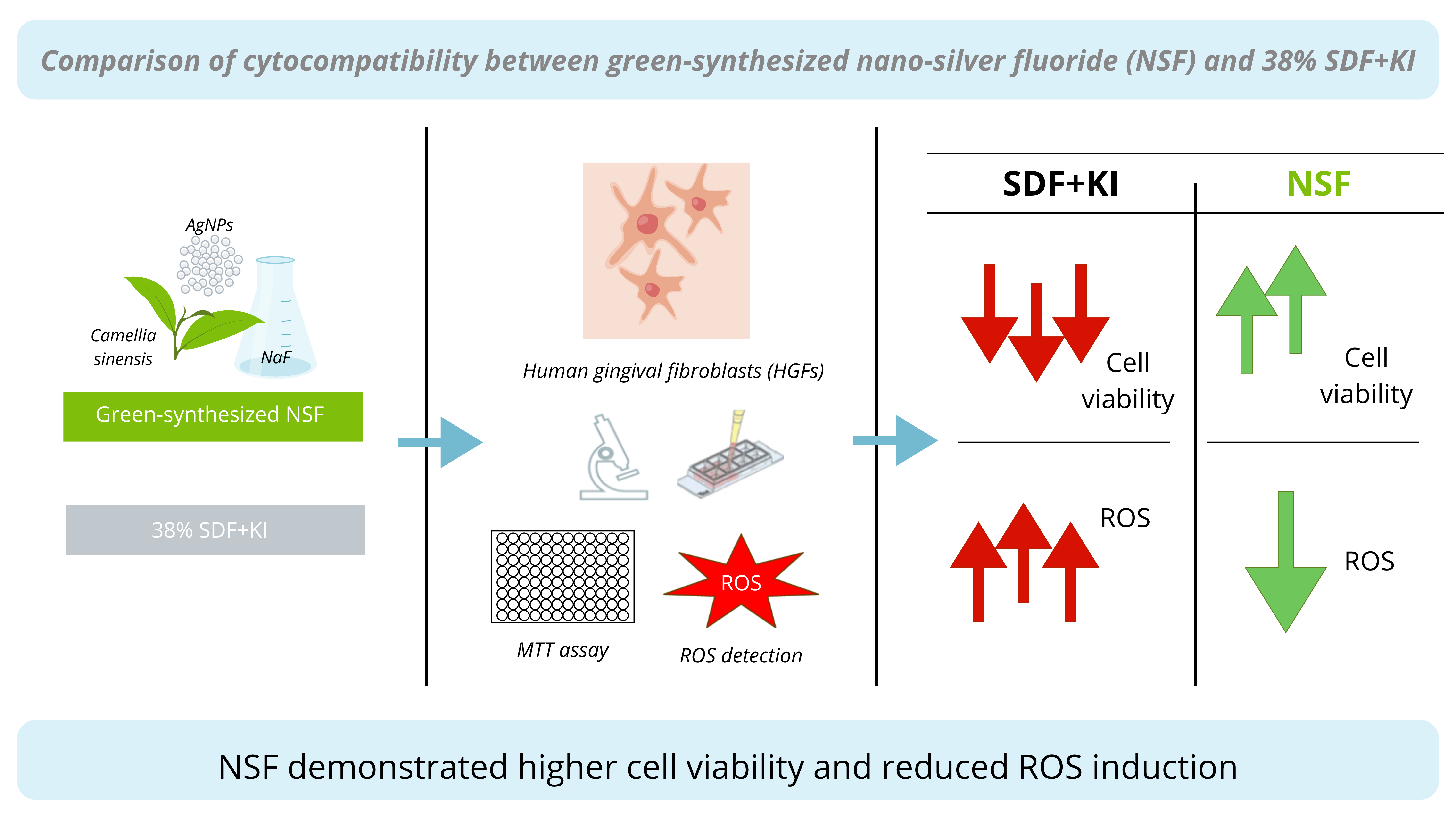 Comparative Cytocompatibility and Oxidative Stress Analysis of Green ...
