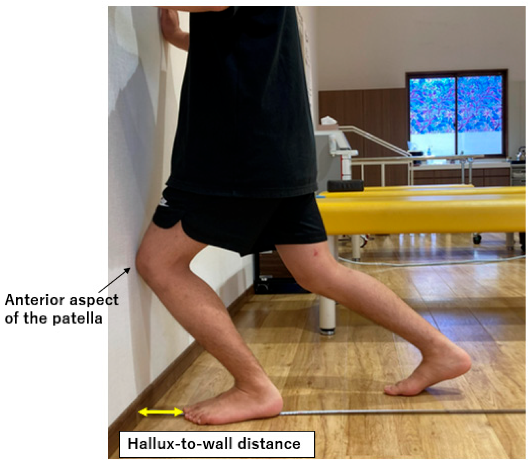 Latent Factor Structure of Dynamic Postural Control and Ankle Mobility ...