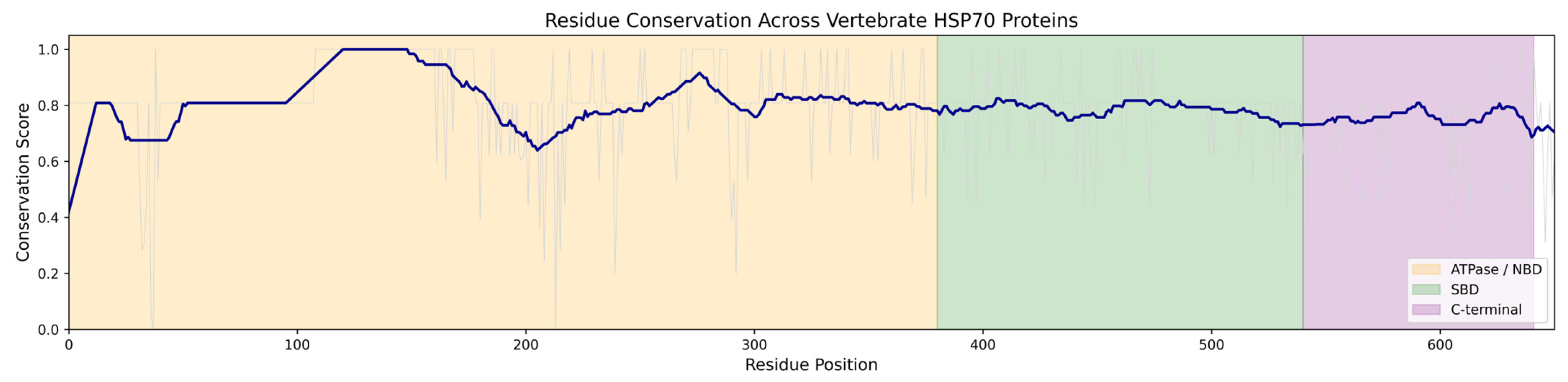 Comparative Analysis of the HSP70 Protein Family Across Vertebrates ...