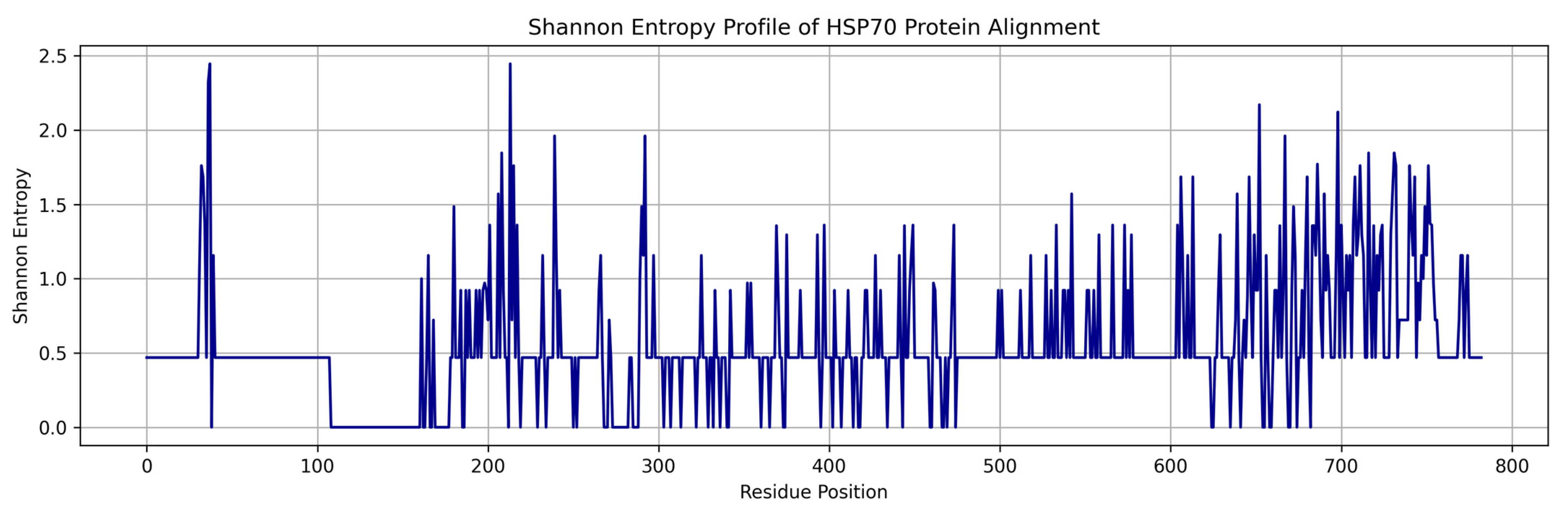 Comparative Analysis of the HSP70 Protein Family Across Vertebrates ...