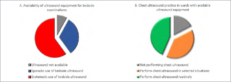 Chest ultrasound in Italian geriatric wards: use, applications and ...