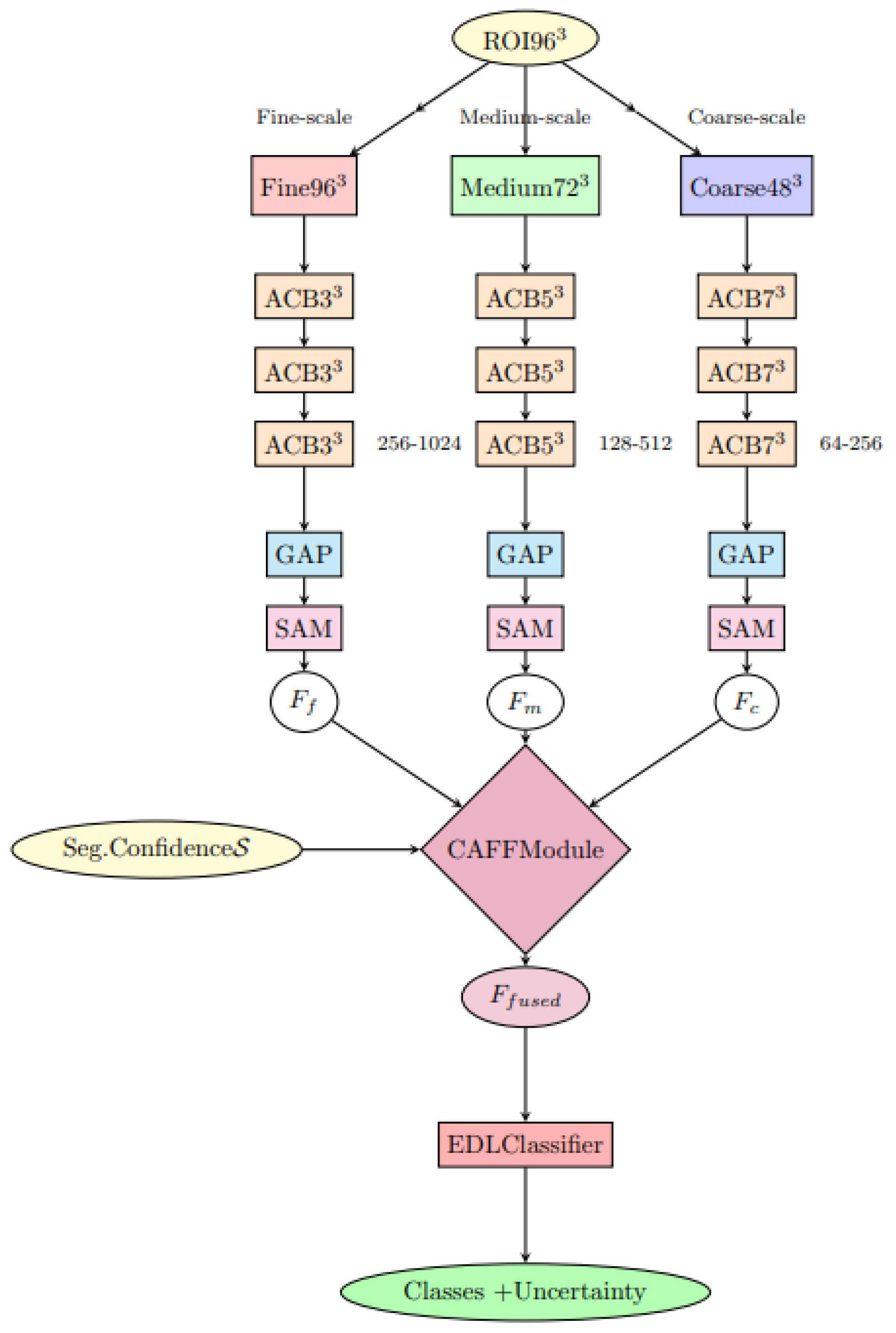 DiagNeXt: A Two-Stage Attention-Guided ConvNeXt Framework for Kidney Pathology Segmentation and ...