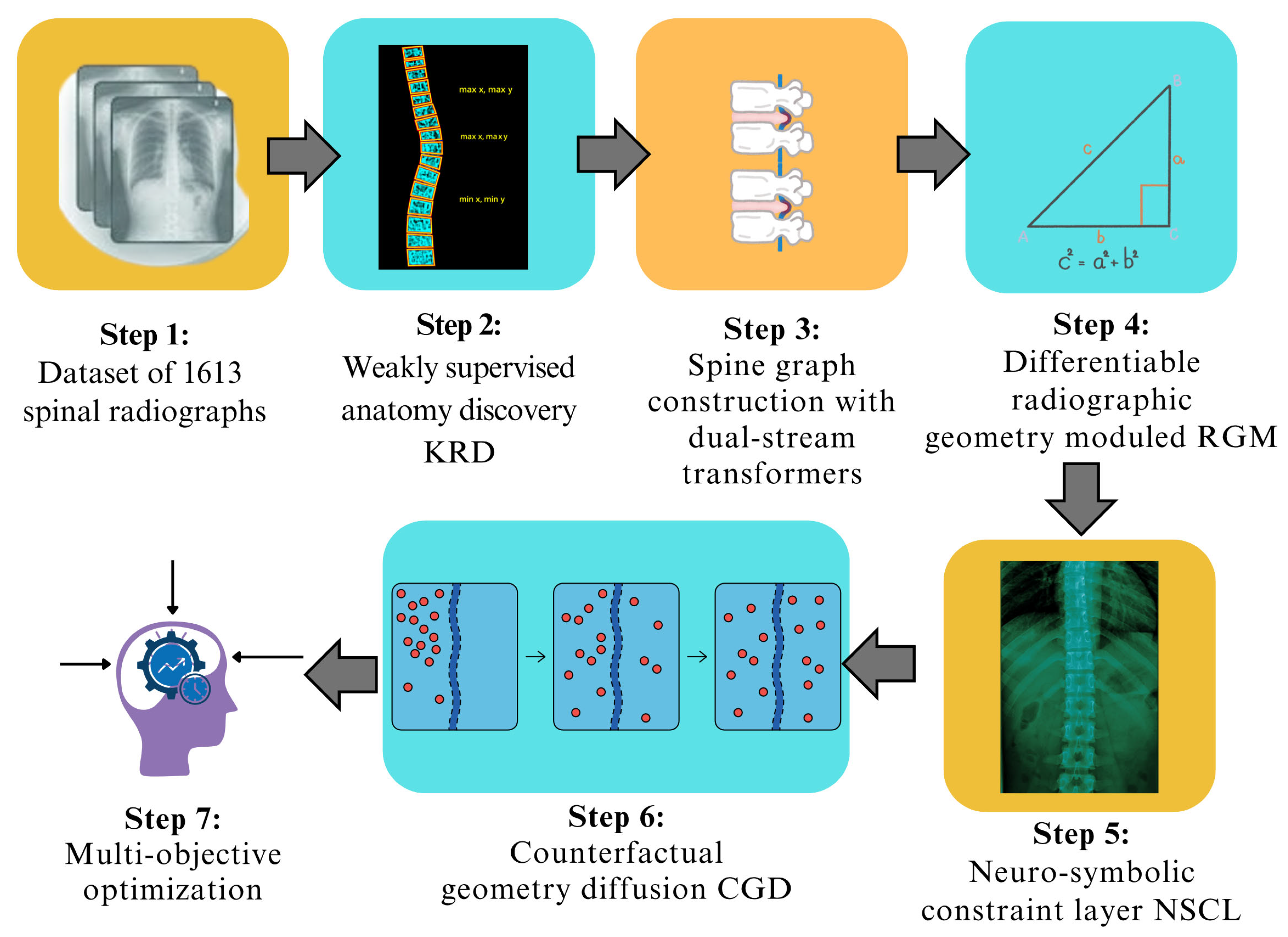 Neuro-Geometric Graph Transformers with Differentiable Radiographic ...