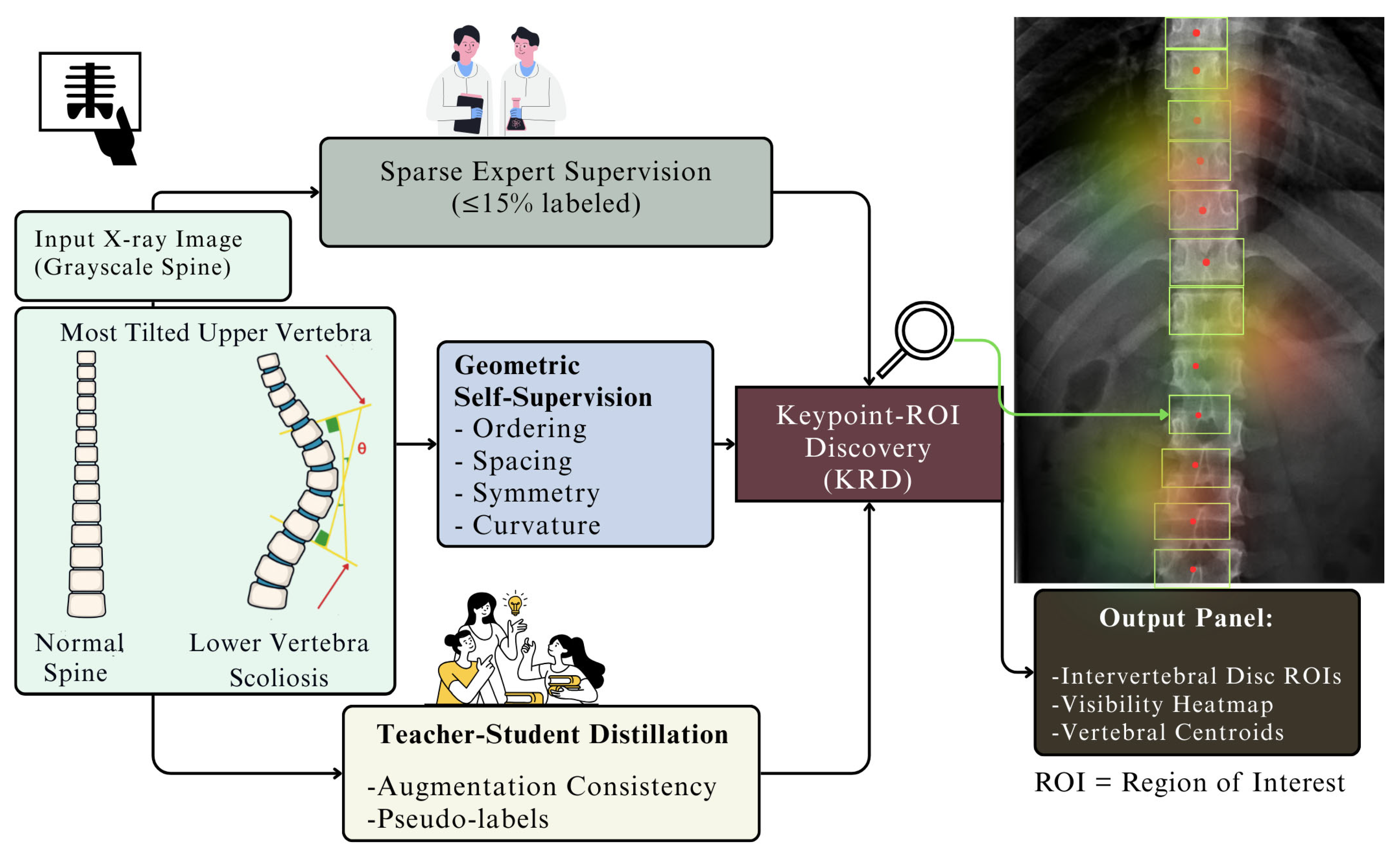 Neuro-Geometric Graph Transformers with Differentiable Radiographic ...