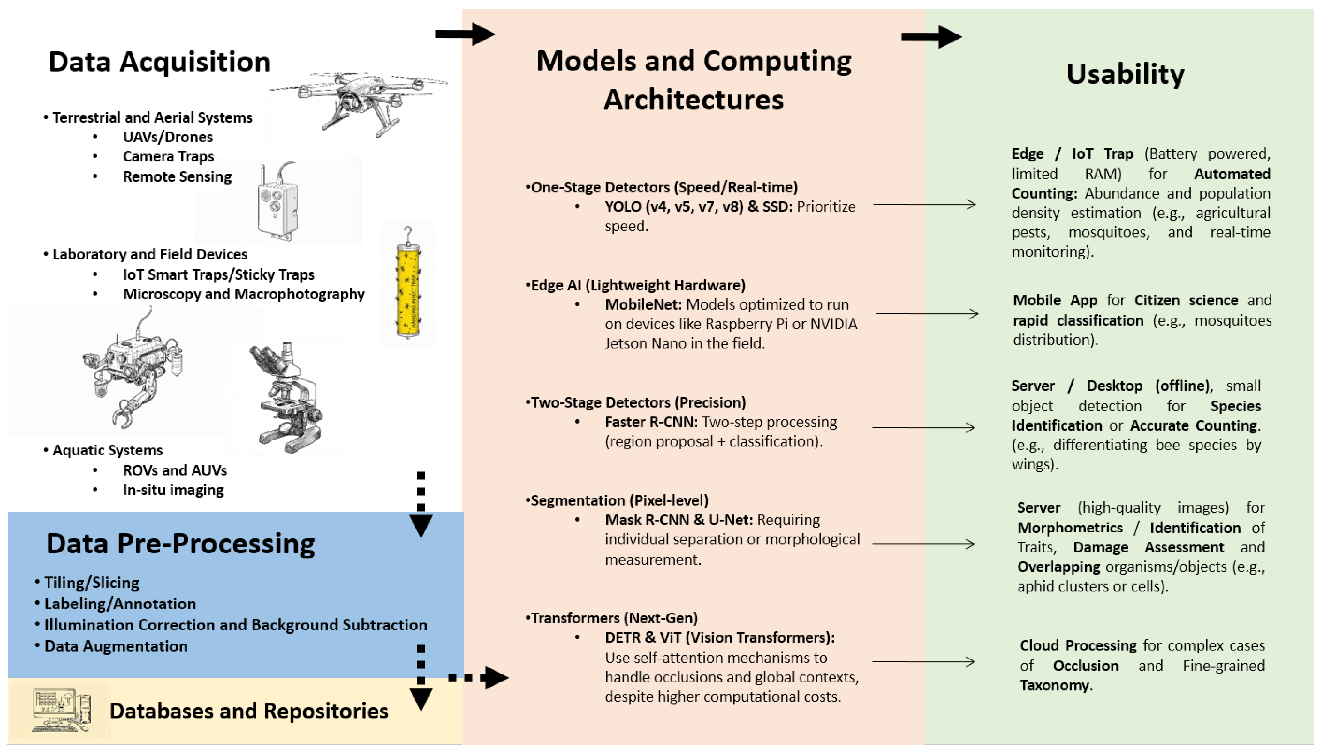 Analysis of Biological Images and Quantitative Monitoring Using Deep ...