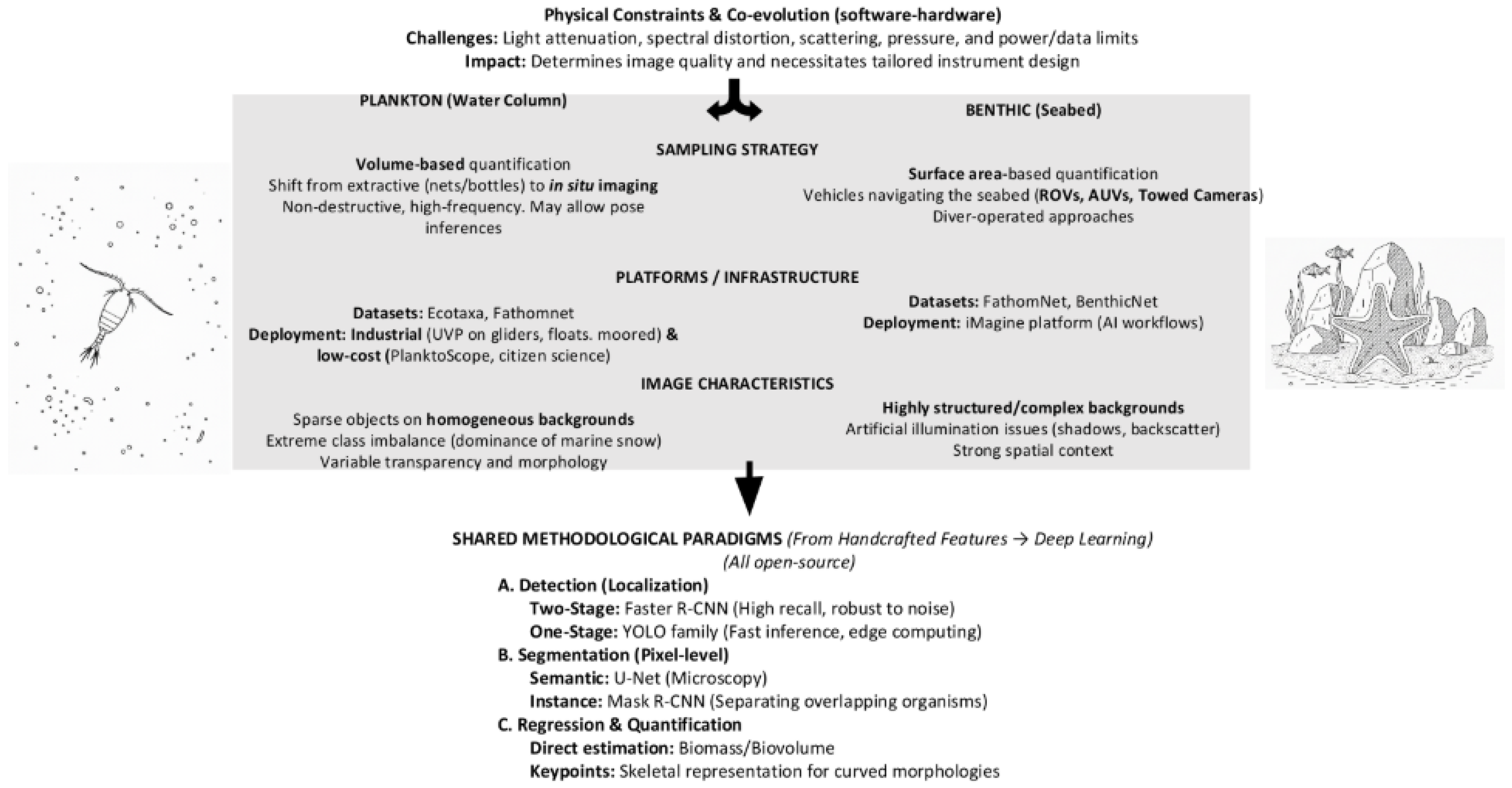 Analysis of Biological Images and Quantitative Monitoring Using Deep ...