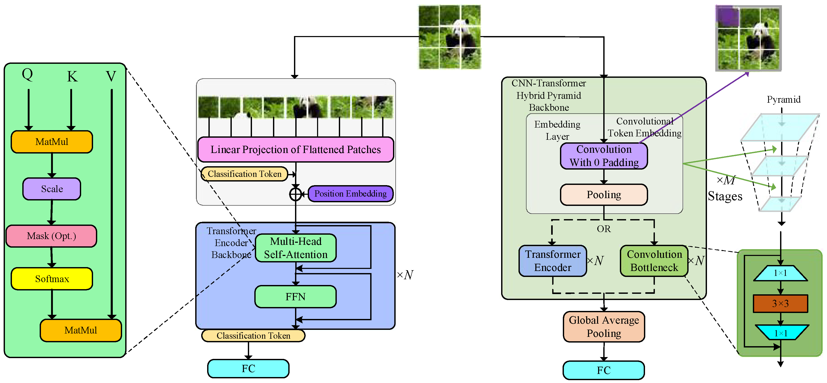 Hardware-Friendly and Efficient Vision Transformer for Deployment on ...