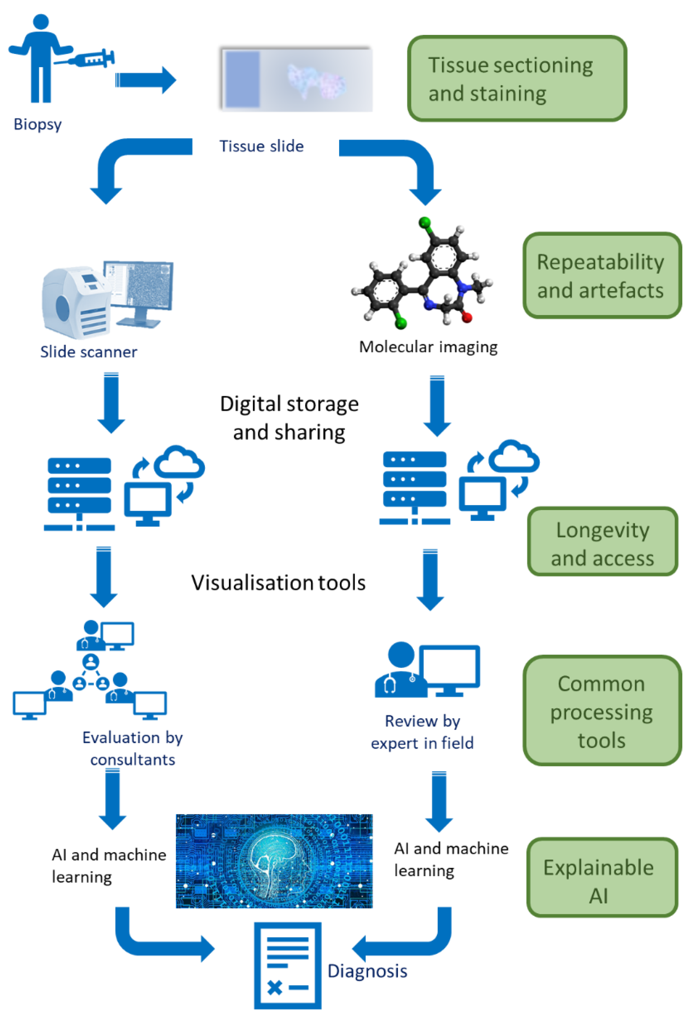 JMP Free Full Text Next Generation Digital Pathology Emerging JMP Free Full Text Next Generation Digital Pathology Emerging