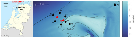 The Relationship between Sea-Swell Bound Wave Height and Wave Shape