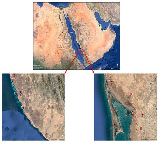 Evaluation of Soil Organic Carbon Stock in Coastal Sabkhas under ...