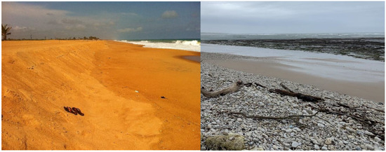 Assessment of Beach Slope and Sediment Grain Size Anywhere in the World ...