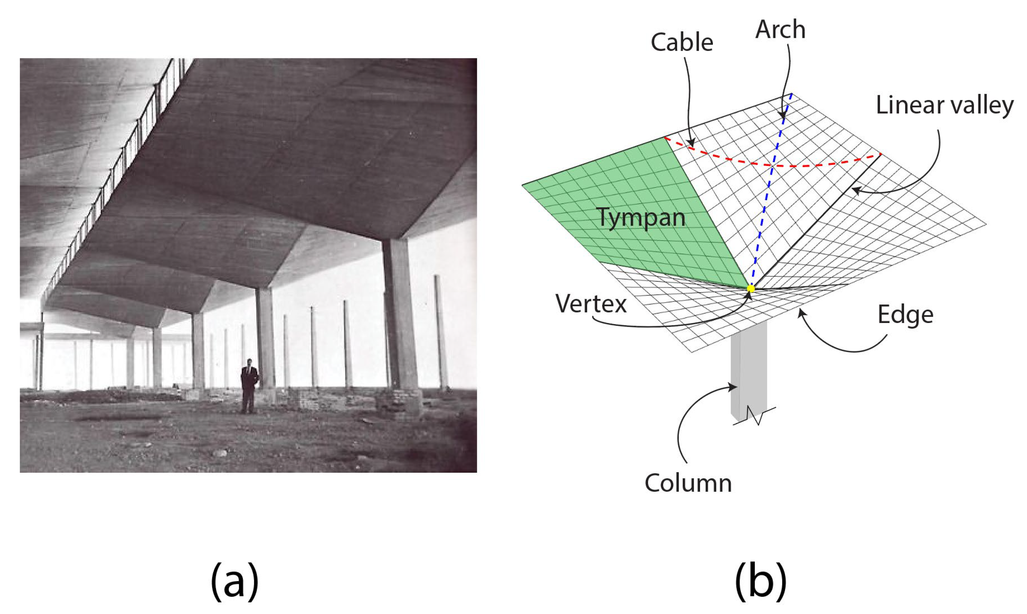 Neural Network-Based Prediction of Wave Pressure Distribution on ...