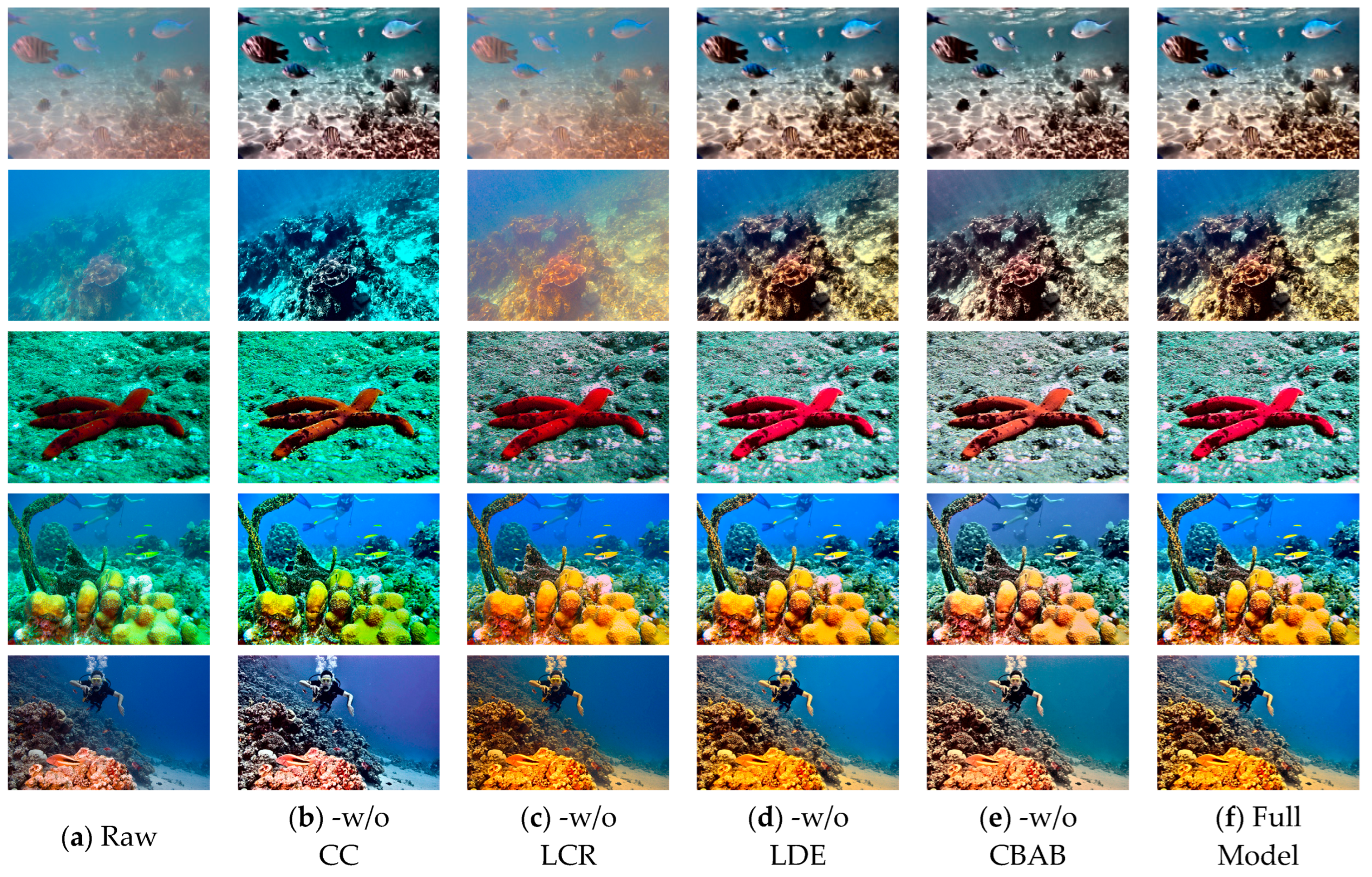 Underwater Image Enhancement via RGB Color-Cast Correction and Lab ...