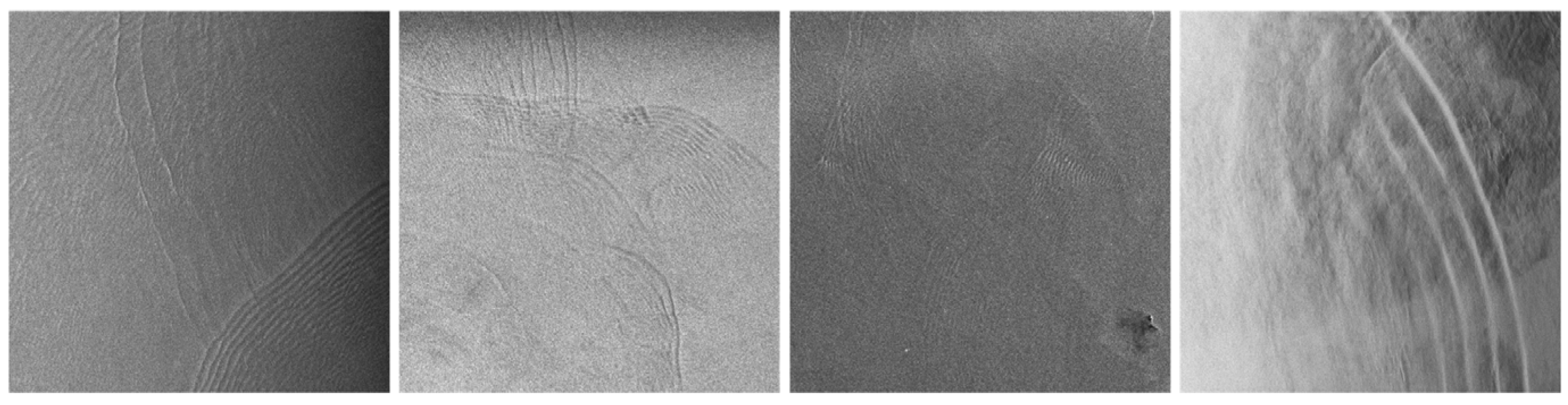 Balancing Accuracy and Speed: Improved D-FINE for Real-Time Ocean ...