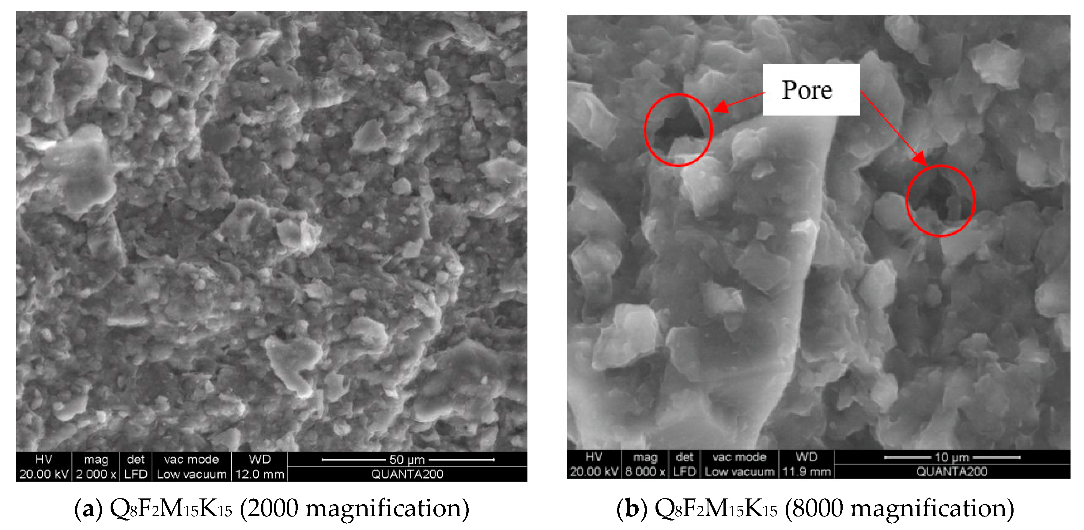 Analysis of Microscopic Characteristics of Marine Clay Under Salinity ...