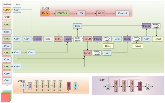 YOLO-ELR: A High-Precision Lightweight Object Detection Model in Marine ...
