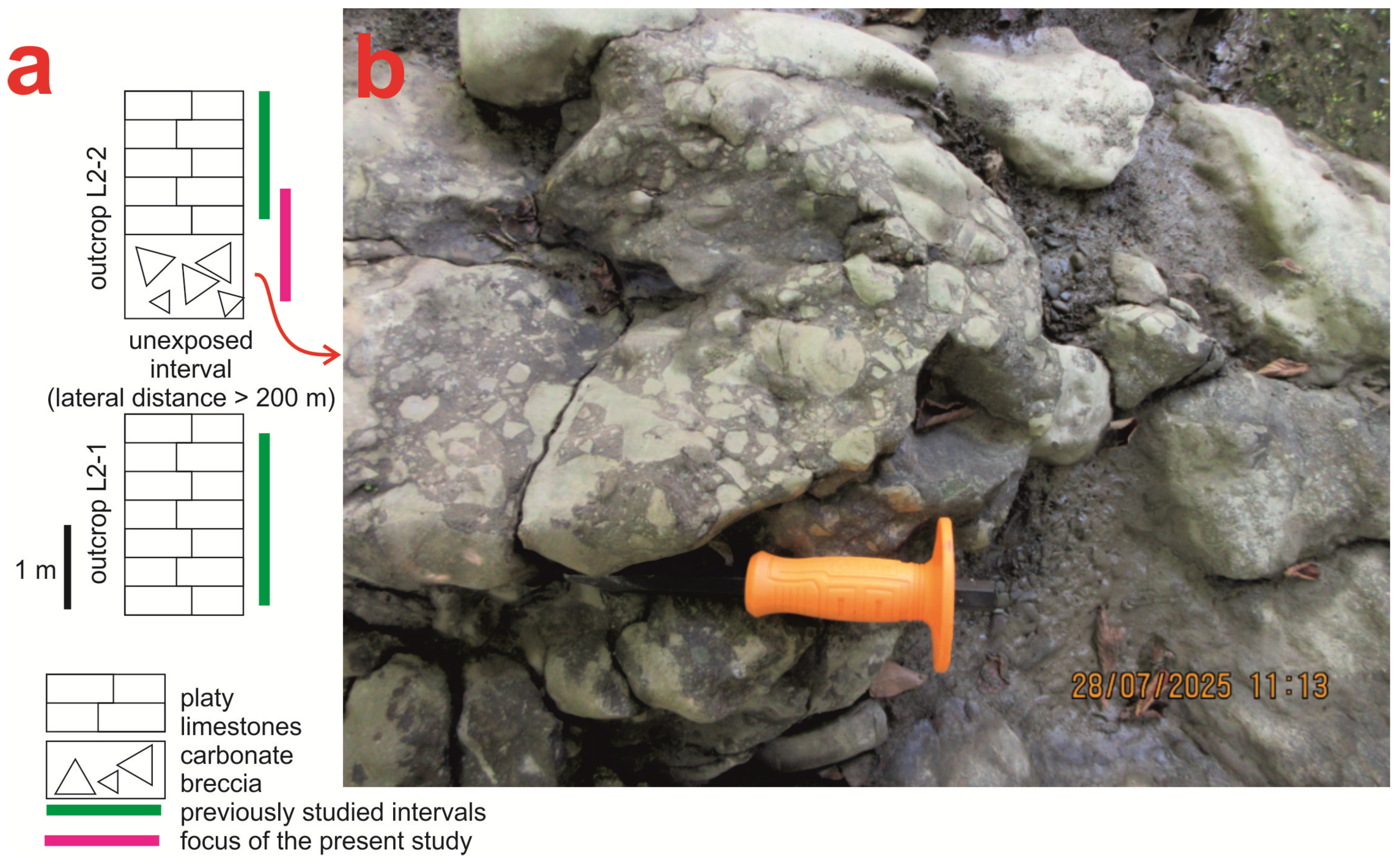 Carbonate Breccia Linking Essentially Different Late Permian and Early ...