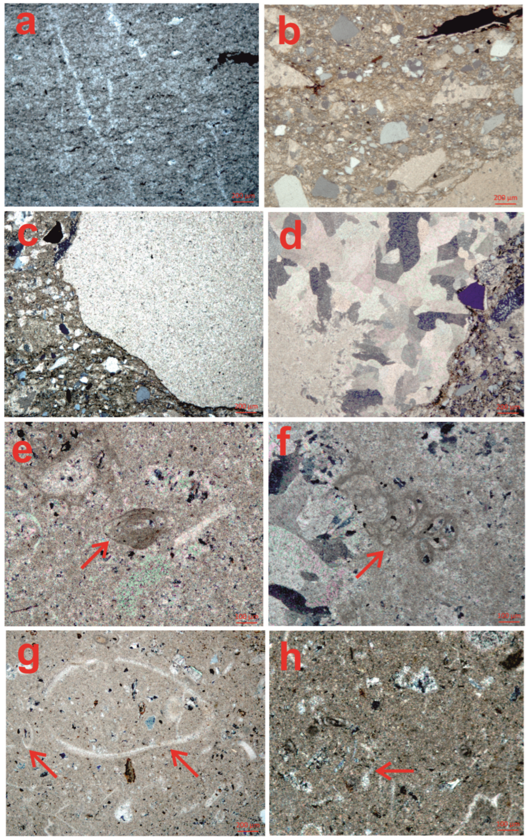 Carbonate Breccia Linking Essentially Different Late Permian and Early ...