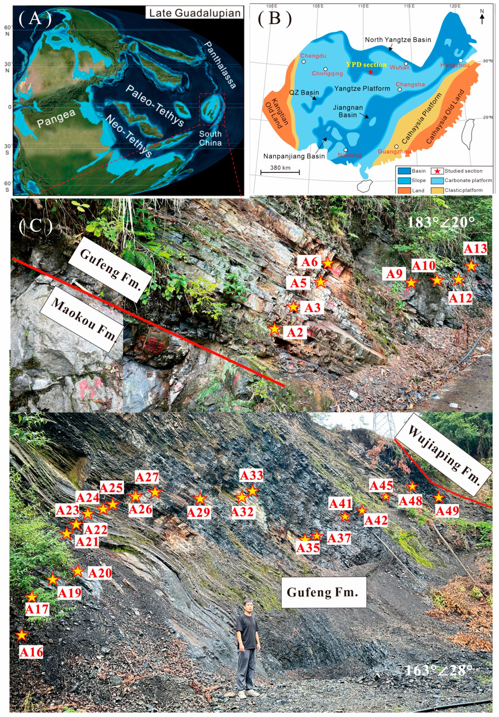 Reservoir Heterogeneity and Vertical Differentiation of the Marine ...