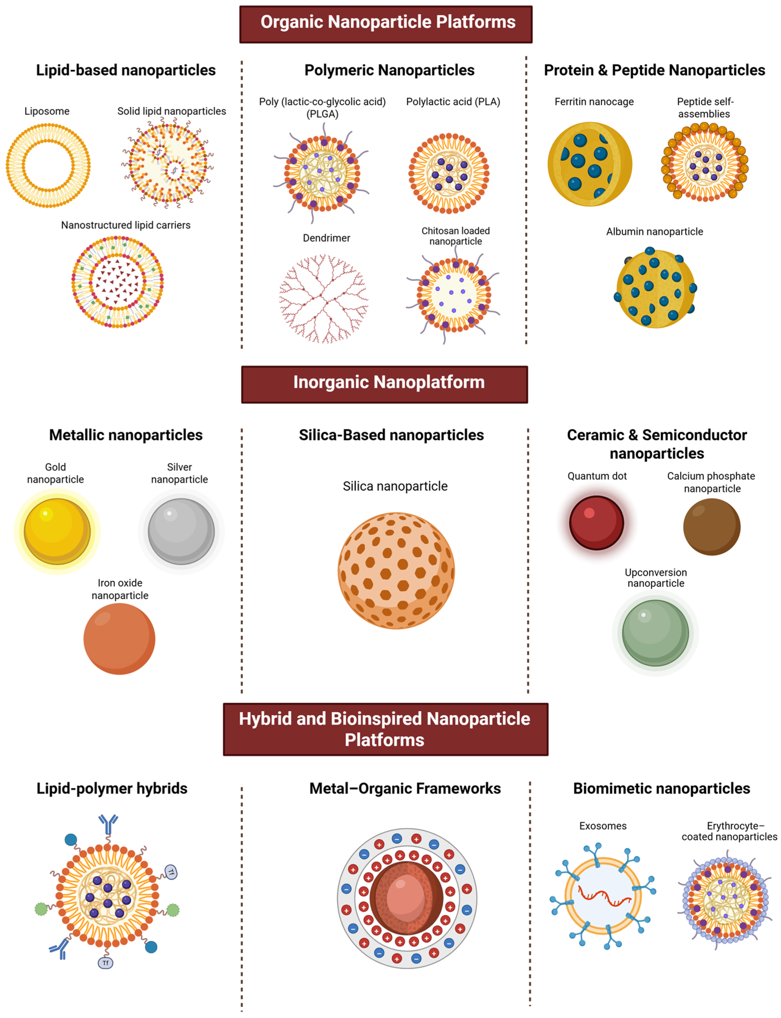Nanoparticles in Therapy and Diagnosis: A Comprehensive Review of ...