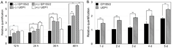 Functional Analysis of an Essential GSP1/Ran Ortholog Gene, CpRan1 ...