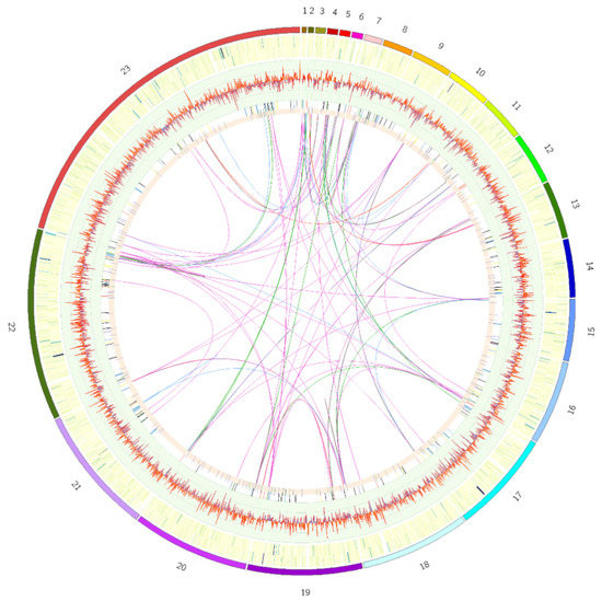JoF | Free Full-Text | Unraveling the Genome Sequence of Plant Growth ...