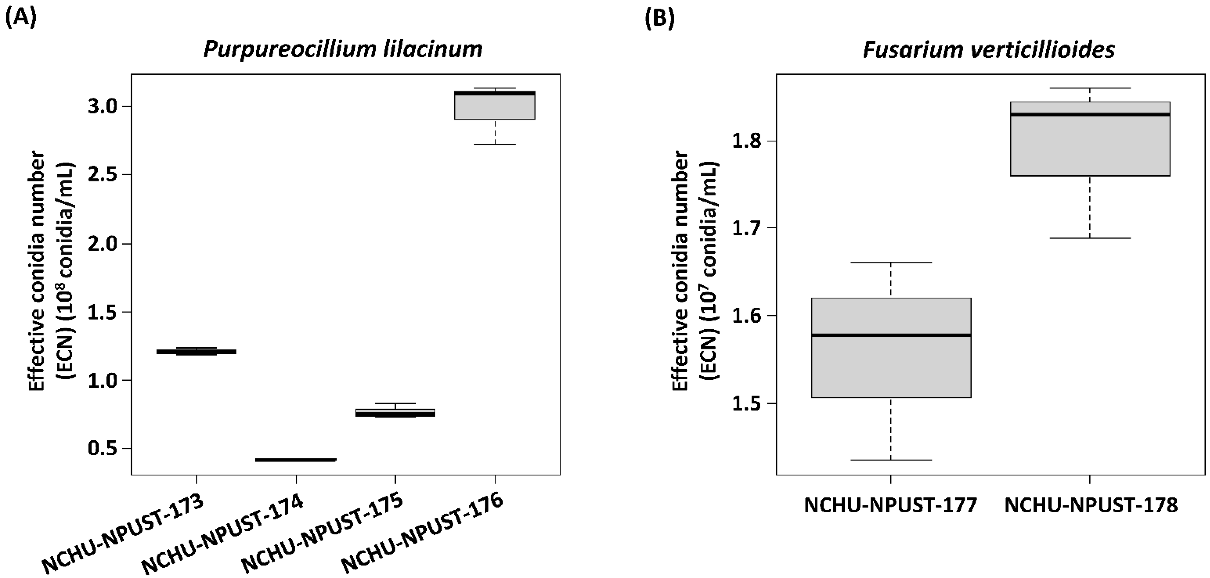 Evaluation of the Potential Entomopathogenic Fungi Purpureocillium ...