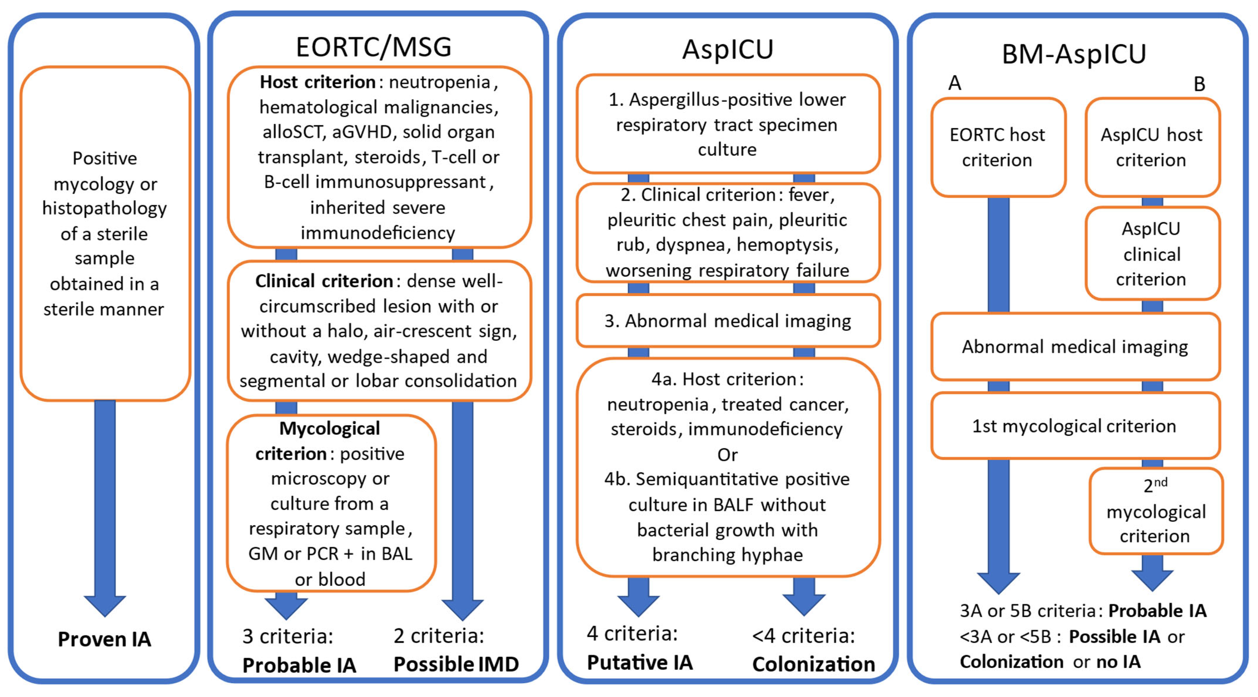 JoF Free Full Text Invasive Pulmonary Aspergillosis JoF Free Full Text Invasive Pulmonary Aspergillosis