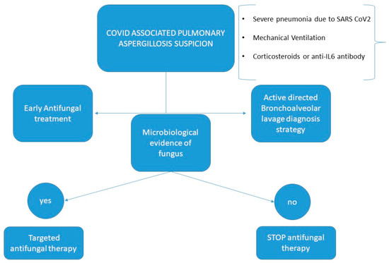 JoF | Free Full-Text | Anticipatory Antifungal Treatment in Critically ...