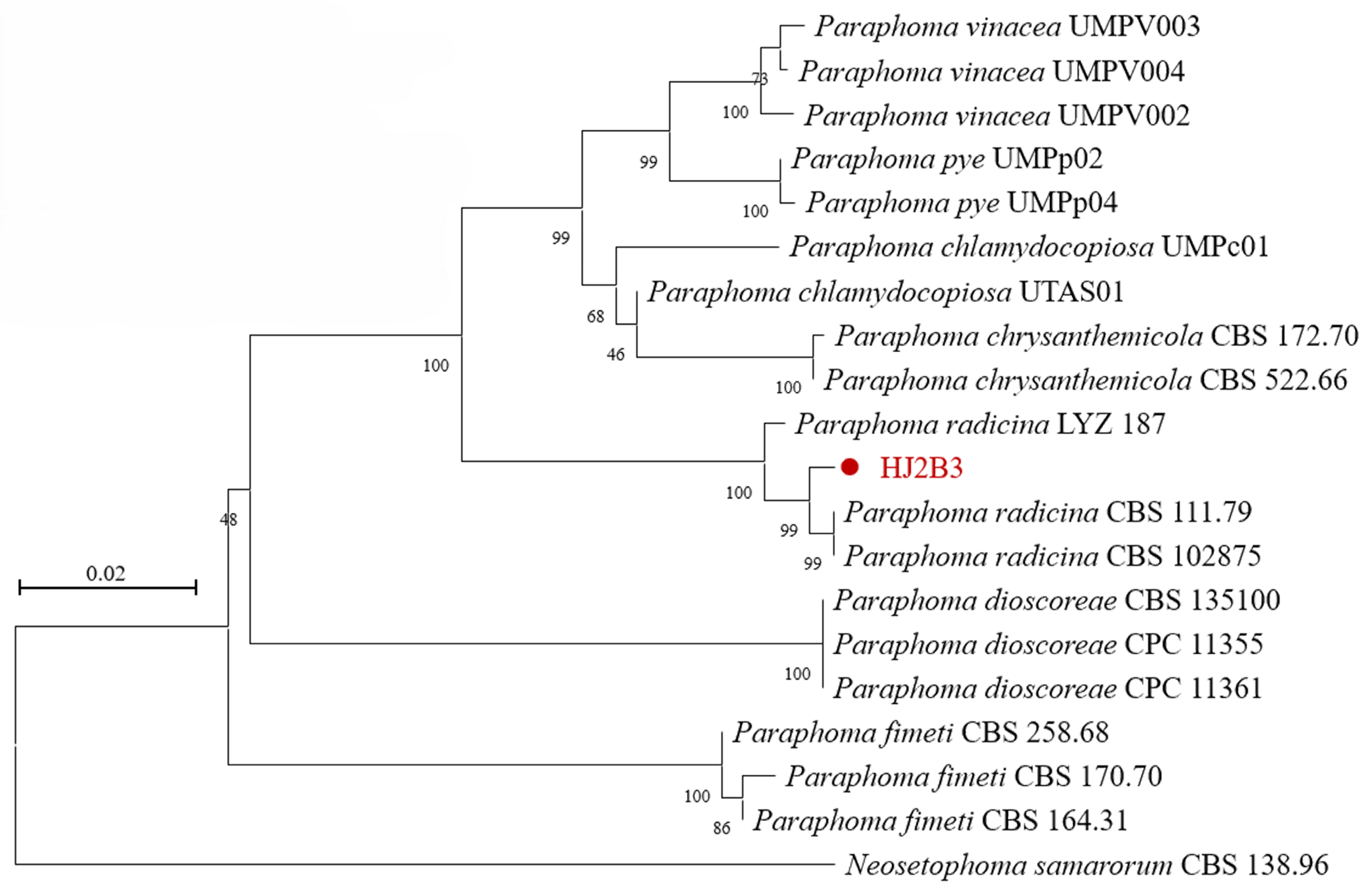 Identification, Characterization, and In Vitro Fungicide Sensitivity of ...