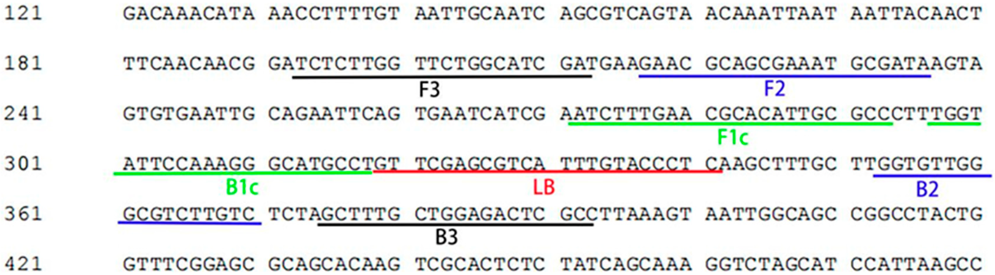Development and Comparison of Visual Colorimetric Endpoint LAMP and ...